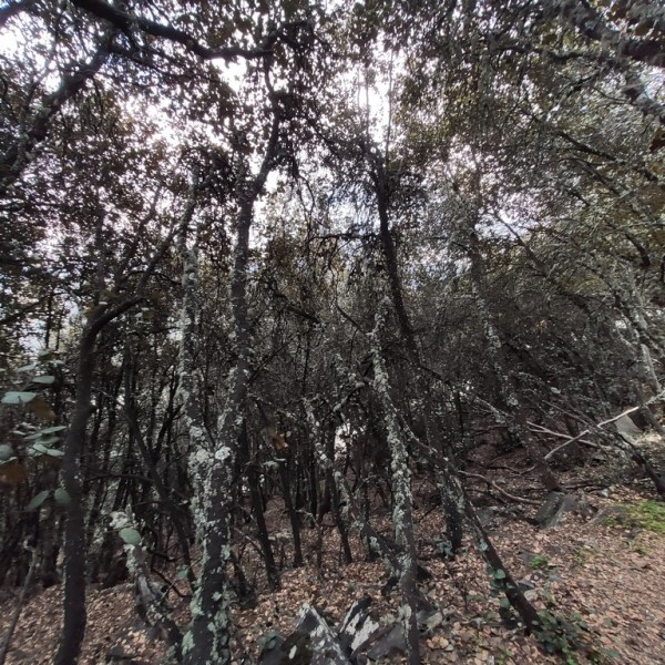 The Cyprus Strollers | Hiking made Pleasant